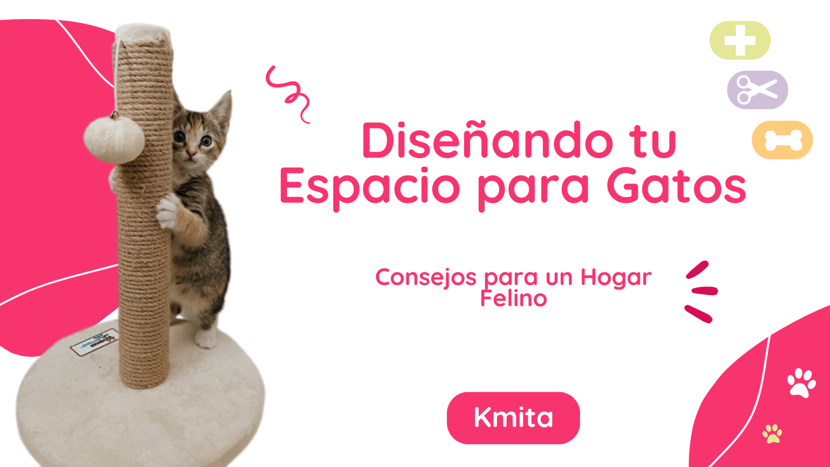 Diseñando un hogar para gatos