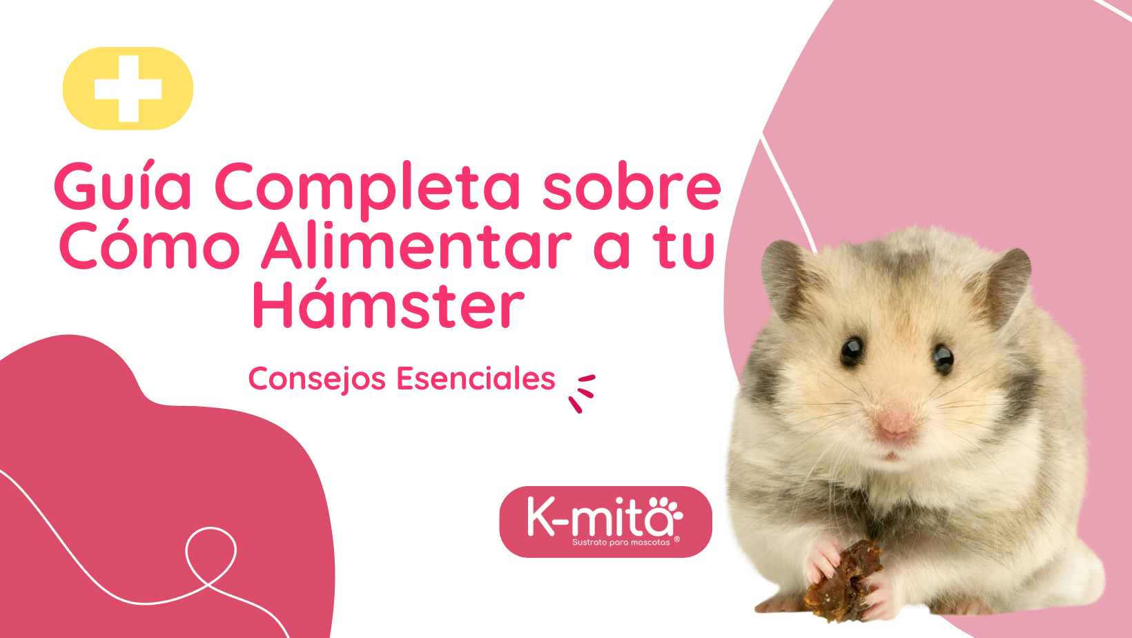 Guía Completa sobre Cómo Alimentar a tu Hámster: Consejos Esenciales